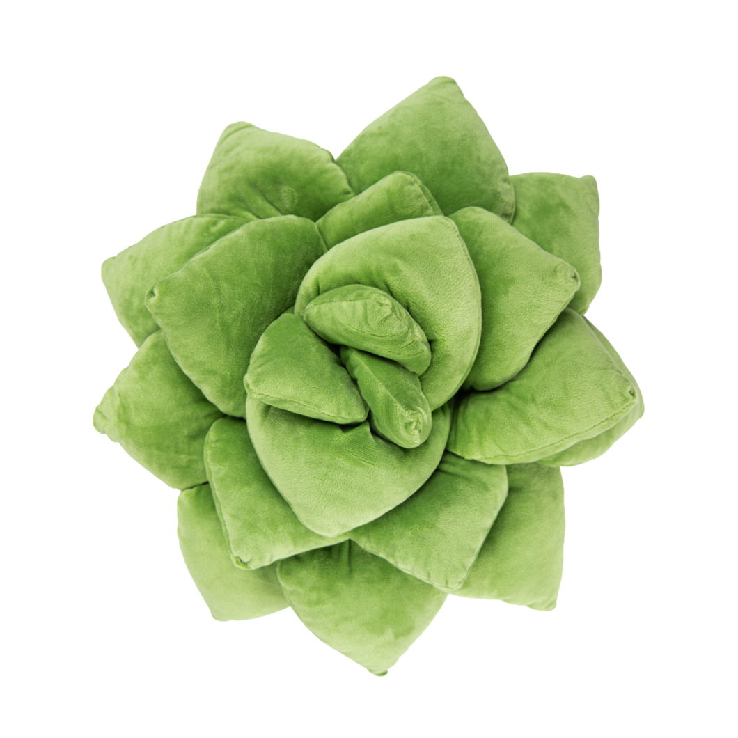 Lil Pop | Succulent Pillows | Decorative Throw Pillows | Olive Green ...