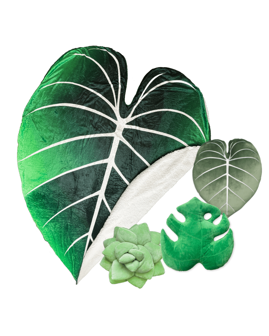 Big Green Bundle – Green Philosophy Co.