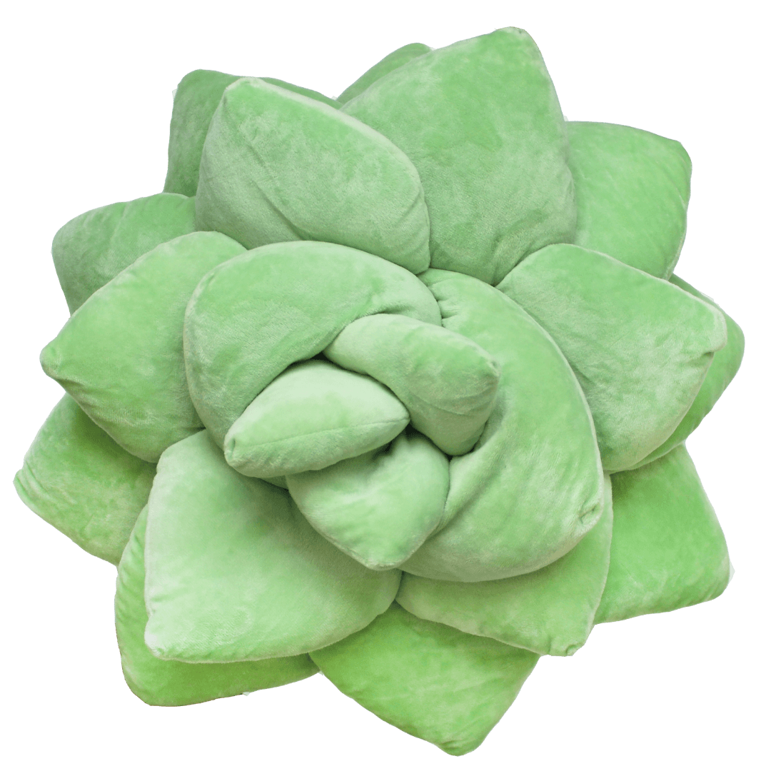 Products – Green Philosophy Co.